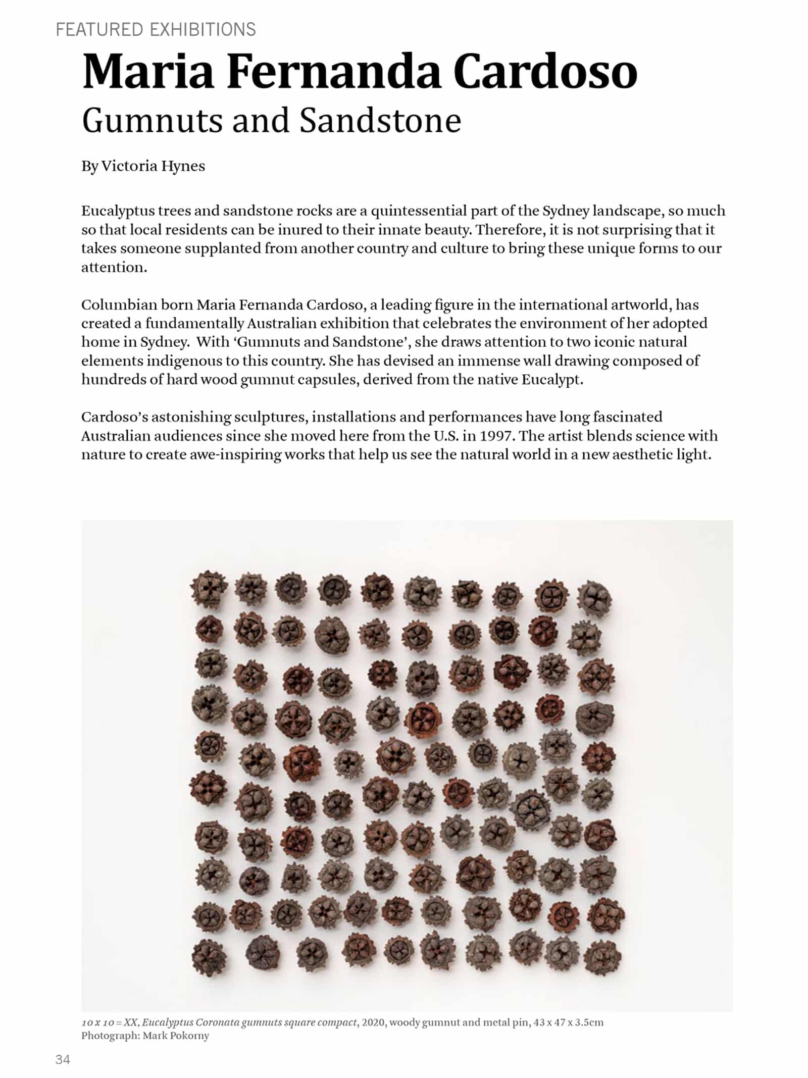 Arts Writer Victoria Hynes | Maria Fernanda Cardoso – Featured Exhibition